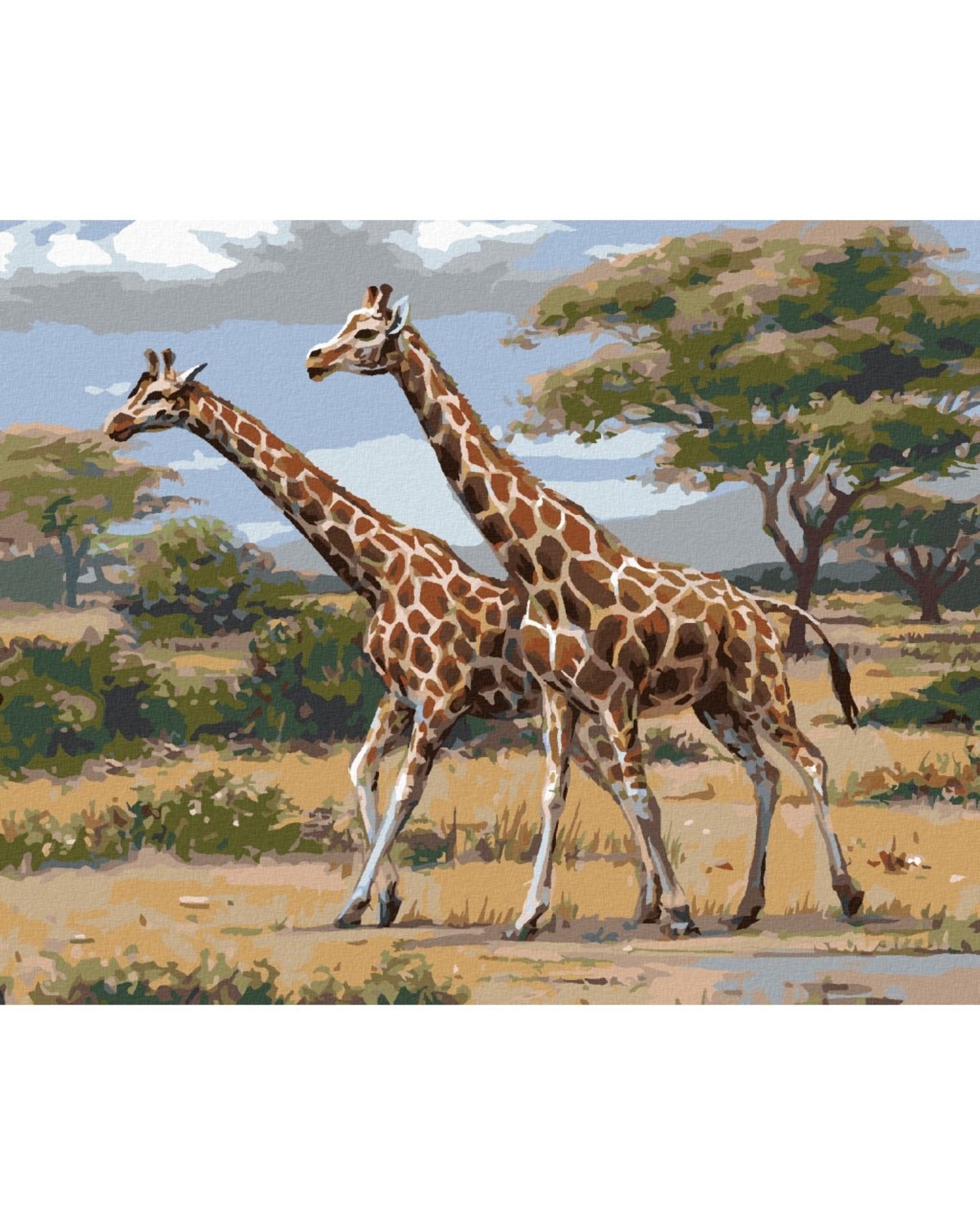 Zuty Malování podle čísel Africké Safari žirafy - sleva 31 % • pexo.cz